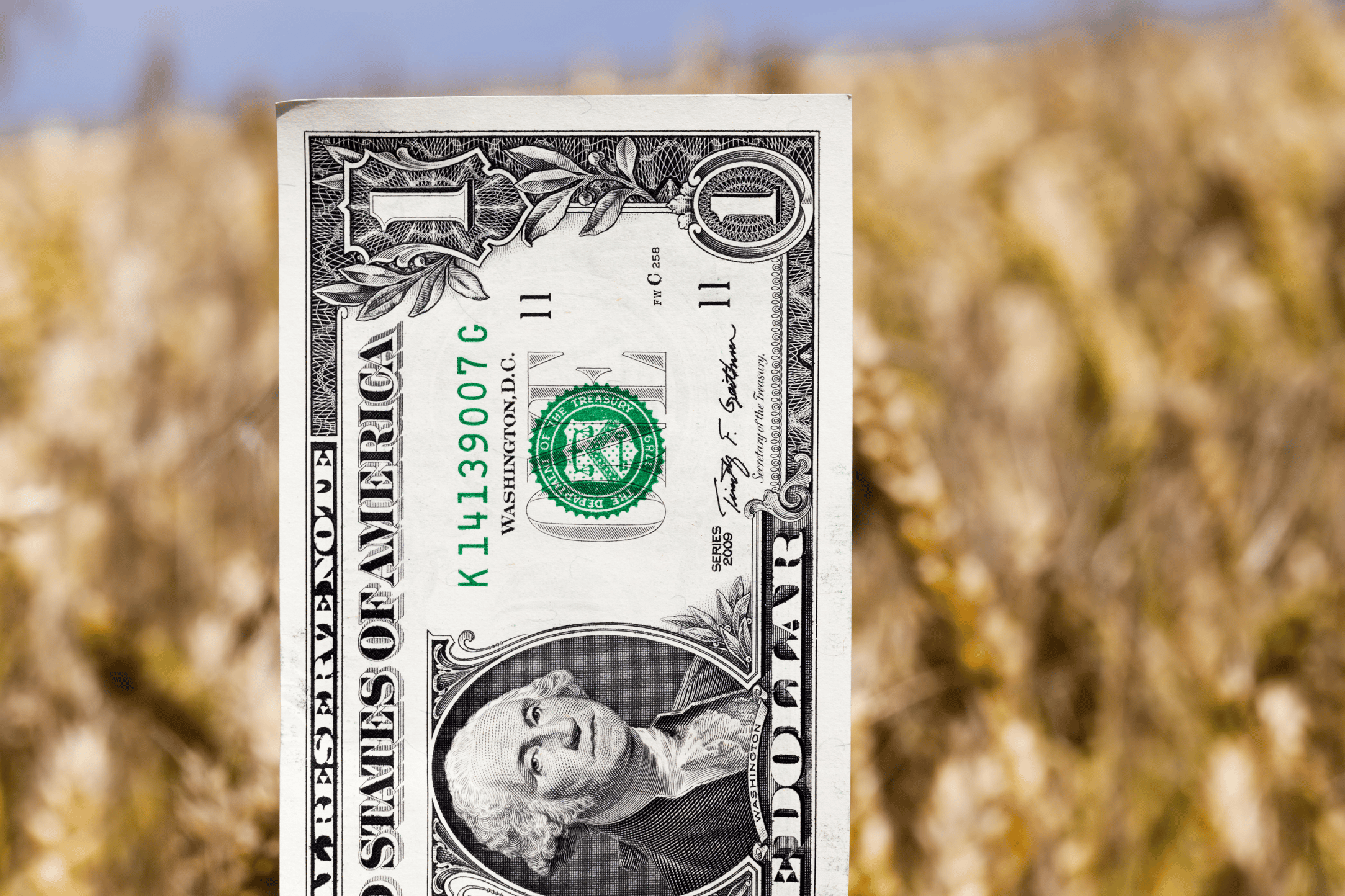 Grain Basis Considerations