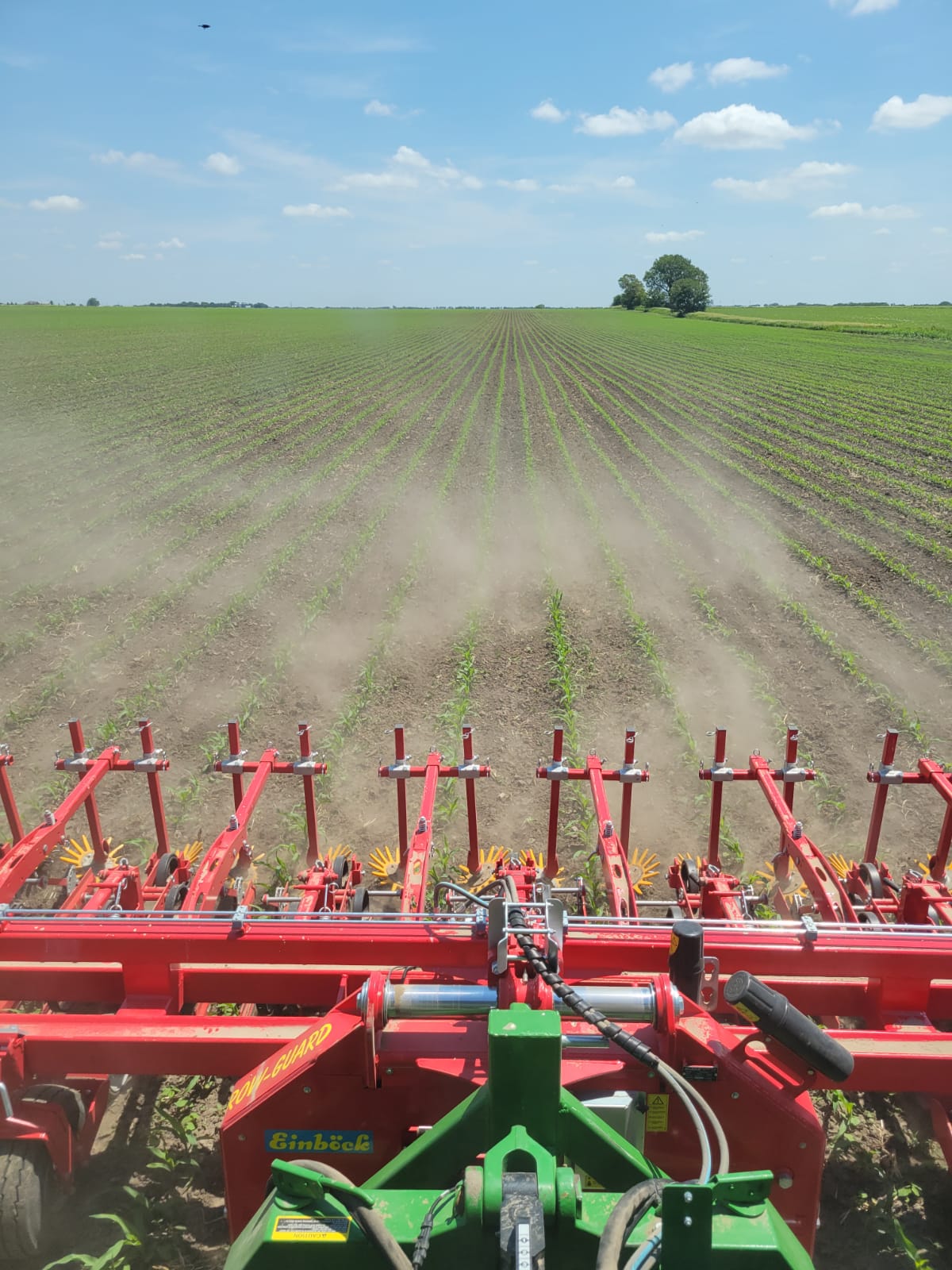 Agriculture Accounting Services | UnCommon Farms